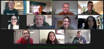 PDI 636 Clerkship | College of Veterinary Medicine at MSU