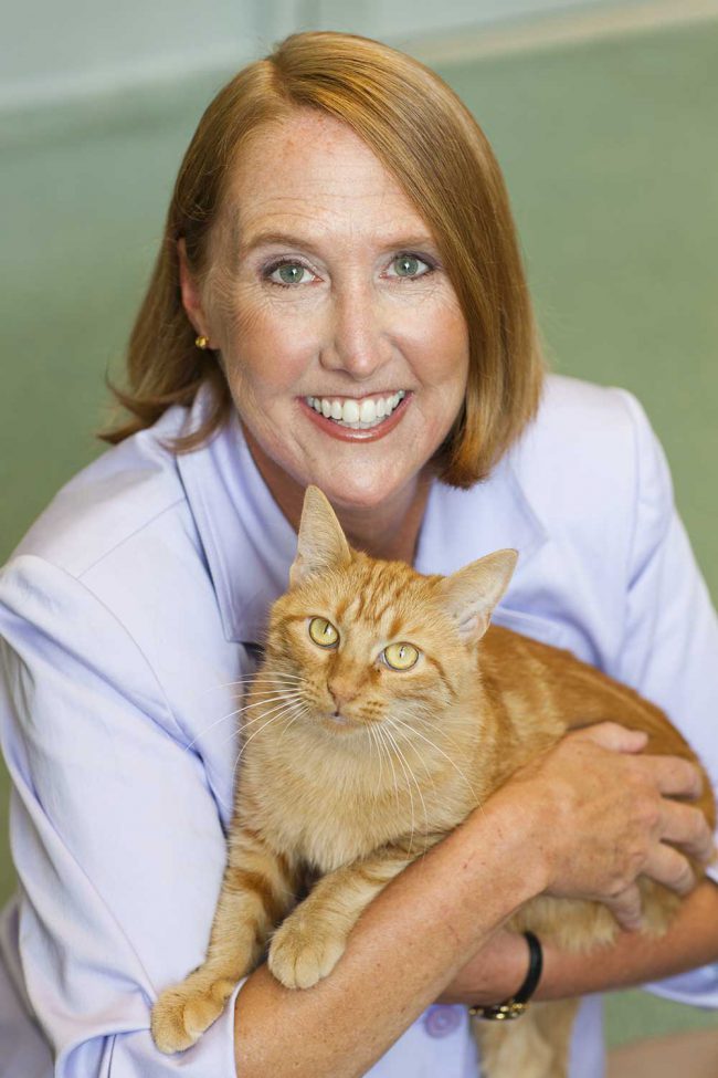 An Open Letter from Robyn Barbiers (DVM ’82) | College of Veterinary ...