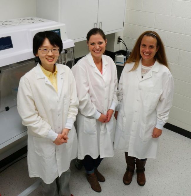 Soboll Hussey Laboratory | College of Veterinary Medicine at MSU