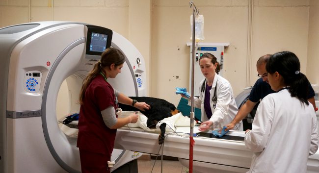 New CT Scanner for Hospital Reinforces Importance of Giving | College ...
