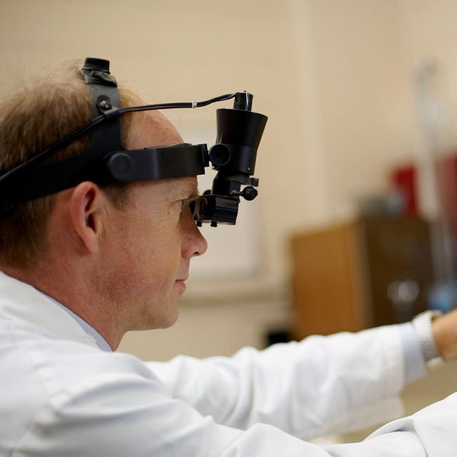 MSU, Veterinary Medicine Strengthen Alliance with University Research ...