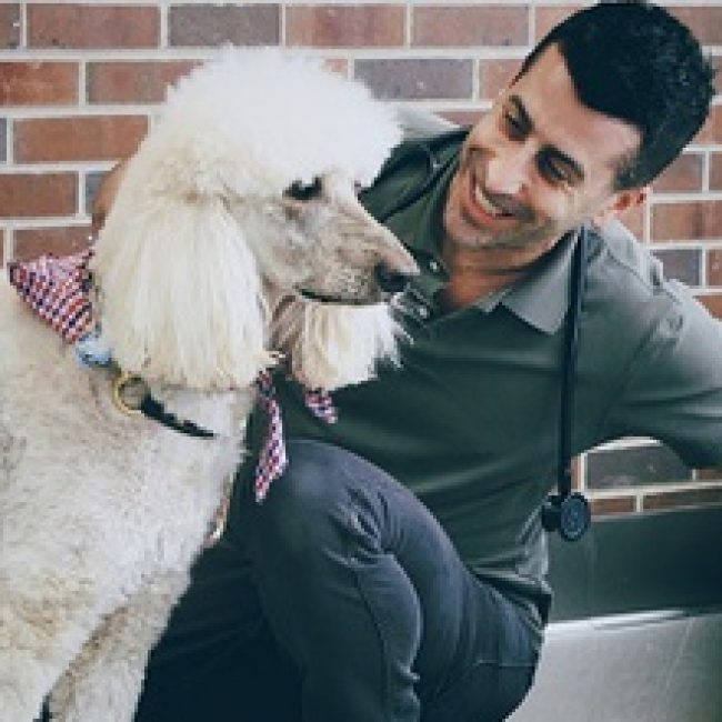 Q&A with Phi Zeta Keynote Speaker Dr. Steven Friedenberg | College of ...