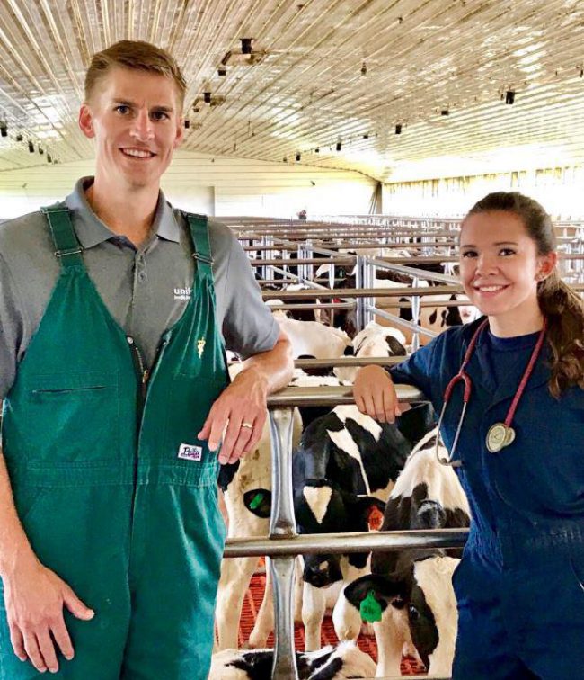 Expanding Opportunities: Veterinarians and Veal | College of Veterinary ...