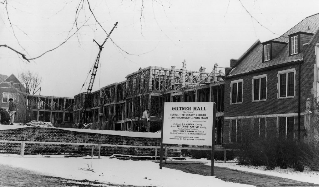 The 1940s | College of Veterinary Medicine at MSU