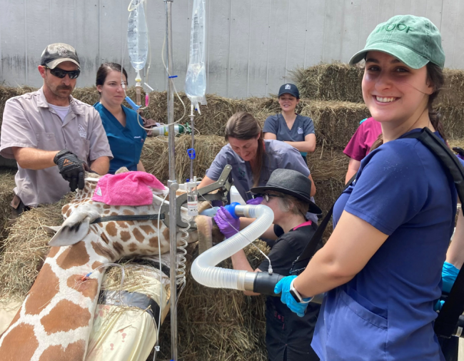 Walk on the Wild Side: The Evolution of MSU’s Zoo and Wildlife Program ...