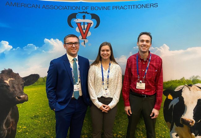 Future Spartan Veterinarians Awarded Scholarships by American ...