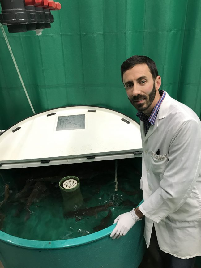 MSU Investigators Awarded $307,869 Grant to Study Bacterial Infections ...