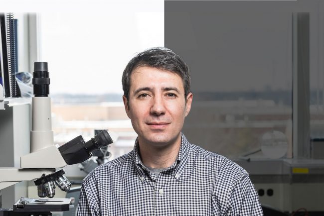 Robert Abramovitch Recognized for Research Excellence | College of ...