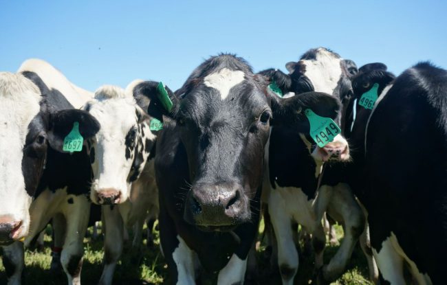 Practice-Based Ambulatory: A Highly Recommended Real-World Learning ...