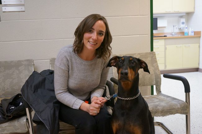 Allie's Story | College of Veterinary Medicine at MSU