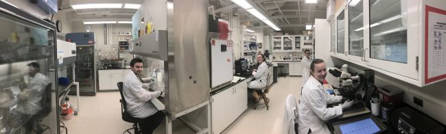 MSU-AAHL Lab Manager Awarded “Above and Beyond” Award | College of ...