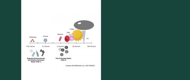 Harkema Recognized for Advancements in Nanotoxicology | College of ...