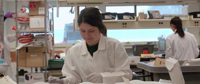 MSU Veterinary Diagnostic Laboratory | College of Veterinary Medicine ...