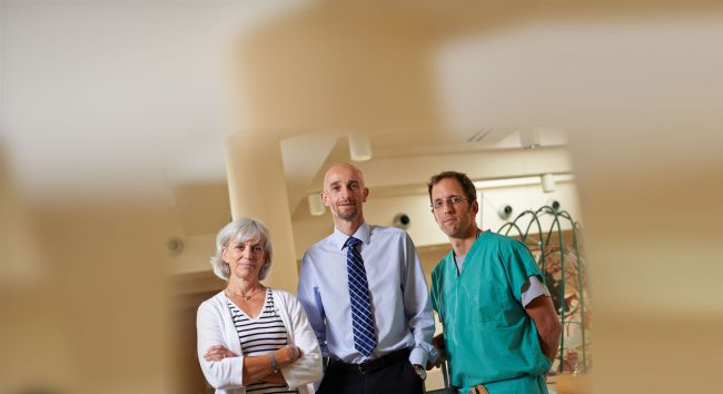 Veterinary Medical Center | College of Veterinary Medicine at MSU