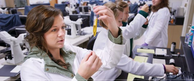 Gaining Traction: College to Reinvent DVM Curriculum | College of ...