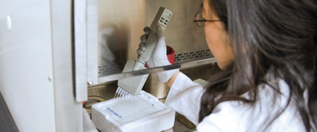 VDL awarded Level 1 laboratory status | College of Veterinary Medicine ...