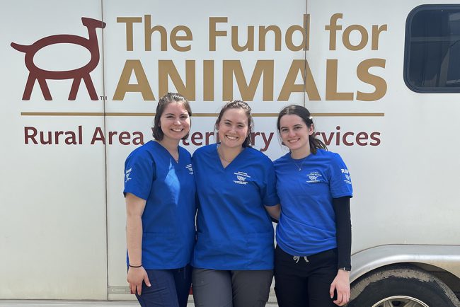 MSU Students Participate in Rural Area Veterinary Services Program ...