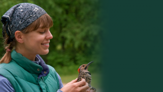 Infectious Curiosity: Q&A with Phi Zeta Keynote Speaker Dr. Sarah Hamer ...