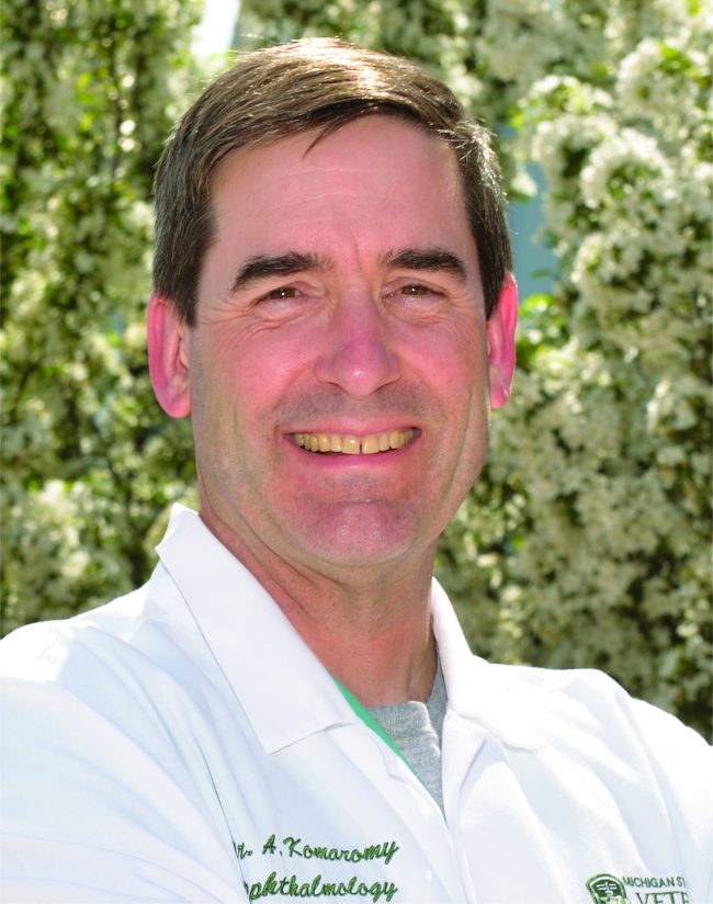 Dr. András Komáromy Appointed to Prestigious NIH Study Section | College of Veterinary Medicine ...