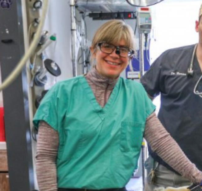 Alum Colleen Turner Achieves Diplomate Status with the American ...