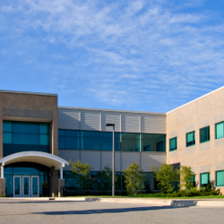 Vetschool Tails.html | College of Veterinary Medicine at MSU