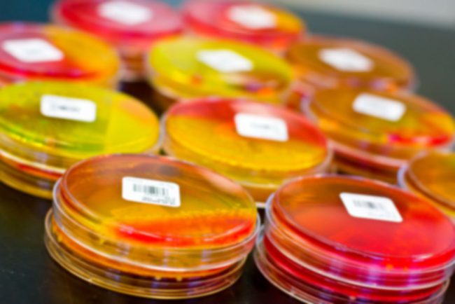 Antibiotics, Friend or Foe? Resources for Understanding the Importance ...