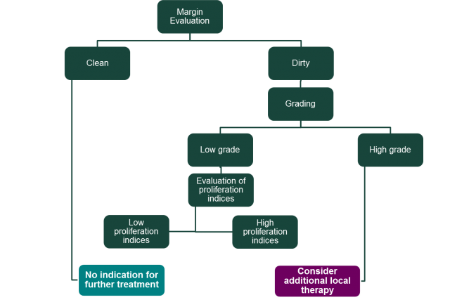 Flowcharts to Support Therapeutic Decision-Making Based on Prognostic ...