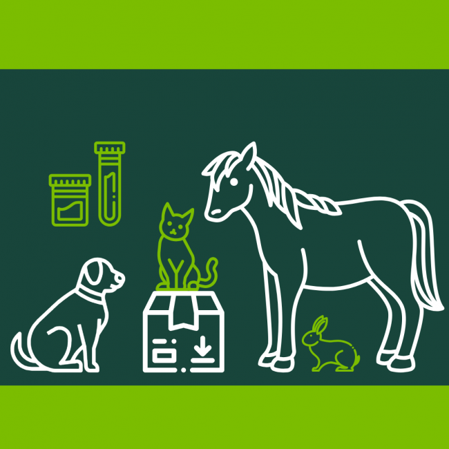 Important Changes to MSU VDL Sample Submission Policies | College of ...