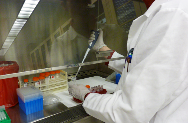 Virology | College of Veterinary Medicine at MSU