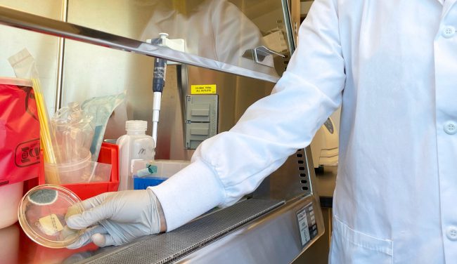 Section Spotlight: Bacteriology | College of Veterinary Medicine at MSU