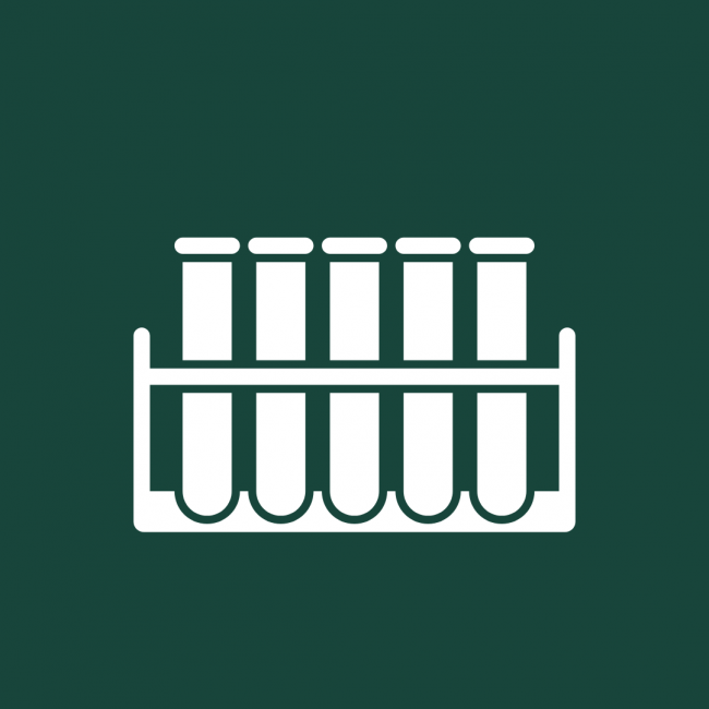 Important Changes to Vitamin Assays | College of Veterinary Medicine at MSU