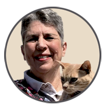 How the College’s DVM Graduates Tackle COVID-19College of Veterinary ...